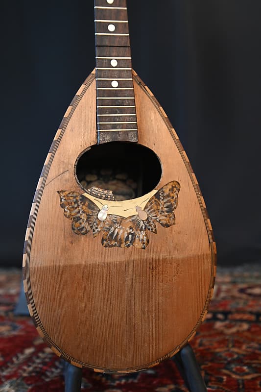 Antique 1913 G Puglisi Reale & Figli Italian Mandolin - Moth | Reverb