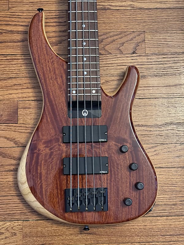 G. Gould GGi5 5 string bass - High gloss . Graphite neck | Reverb