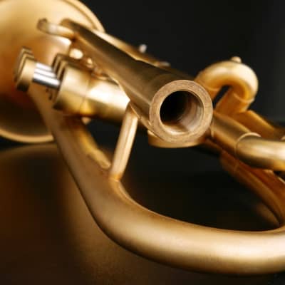 Pre-Owned Monette Raja P3-STC Trumpet in Brushed Gold Plate! | Reverb