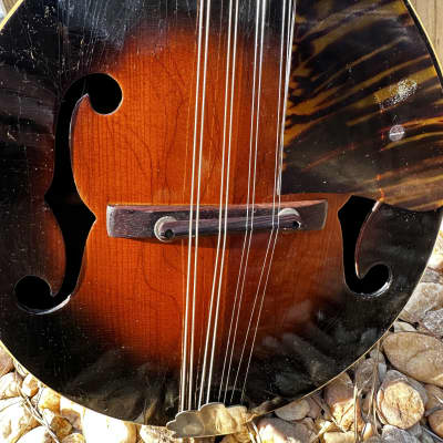 Cromwell Mandolin 1930’s - Sunburst Vintage made by Gibson A | Reverb
