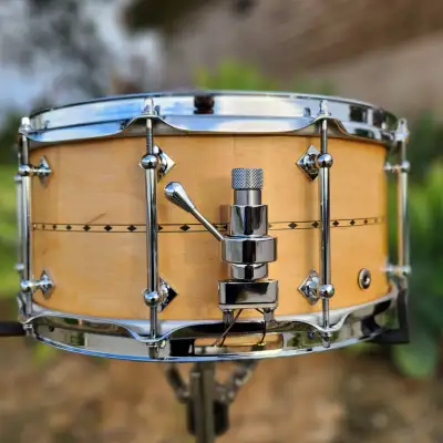 14x6.5 Craviotto MapleCustom Snare In Natural Finish With | Reverb