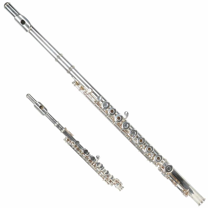 Armstrong Piccolo & Flute Combo with Case USED | Reverb