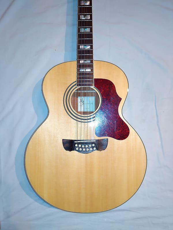 Harley Benton Jumbo Electric Acoustic 12 String W/Bag - | Reverb