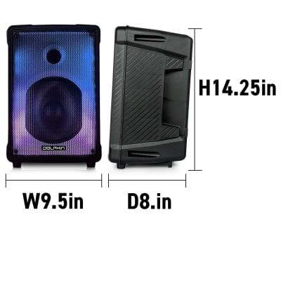 Dolphin KP-80 Premium Loud DEEP Sound, Lite-Weight, Karaoke | Reverb