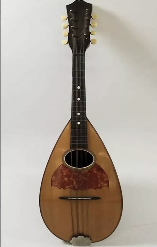 Coles Cole's Imperial Mandolin 1891 W.A. Bowl Back 1891 | Reverb
