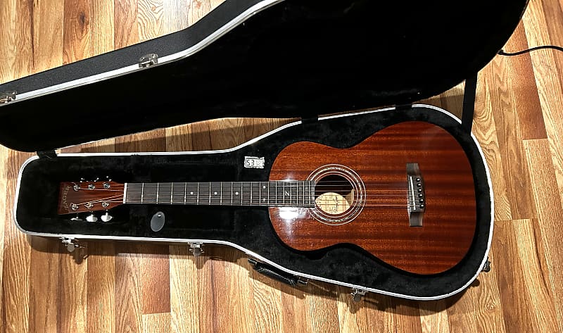 Zager Travel E MHGY 2022 - gloss | Reverb