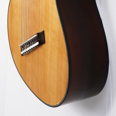 Agile 9 String MultiScale Fan Fret Acoustic Classical Guitar | Reverb