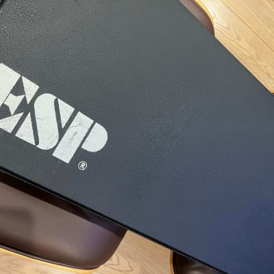 ESP LTD GRYNCH James Hetfiled 2003 - Black with Hot Rod Flame | Reverb