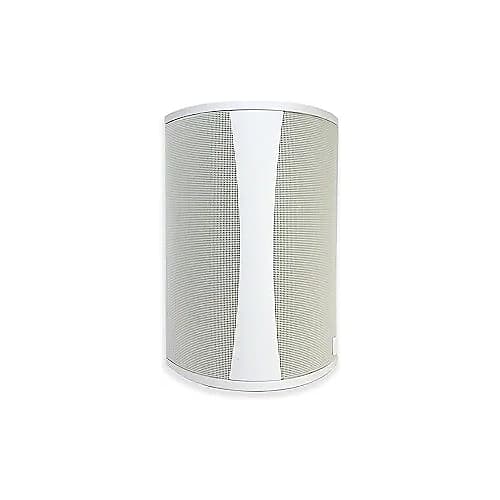Definitive Technology AW 6500 Outdoor Speaker (Single, White) | Reverb
