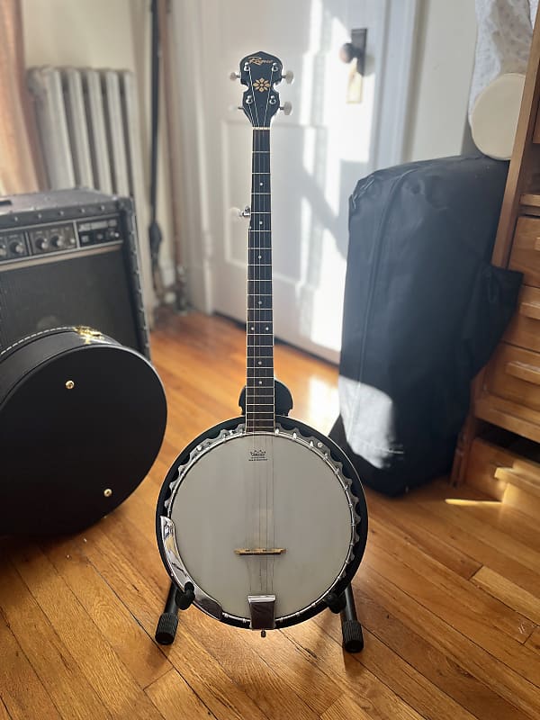 Rogue B30 5-string Resonator Banjo with hard case | Reverb