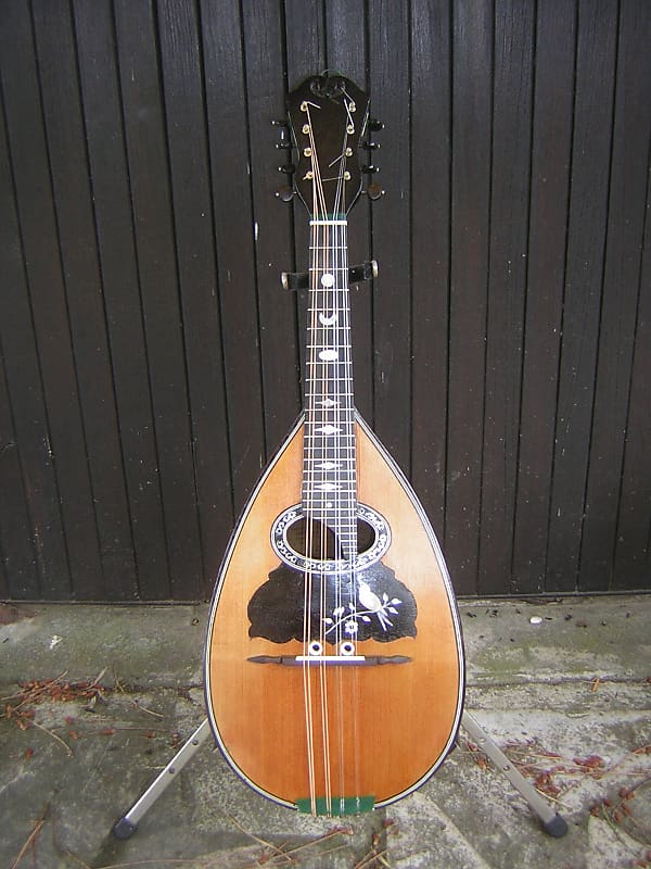 1901 Gennaro and Achille Vinaccia Bowlback Mandolin | Reverb
