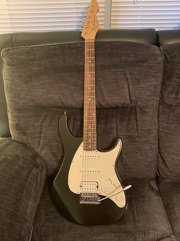 Peavey Raptor EXP Guitar Refinished with Tremolo/Whammy Bar | Reverb