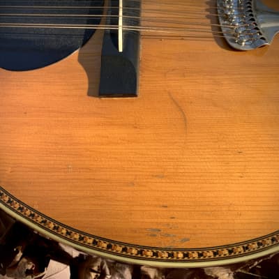 Authentic 1930s “Lead Belly Model” Stella Jumbo 12-String | Reverb