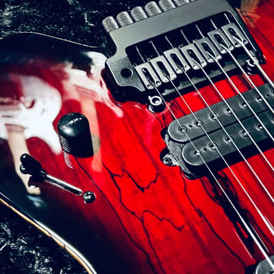 Kiesel VADER 7 String Custom 2022 - Deep Wine Spalted Maple | Reverb