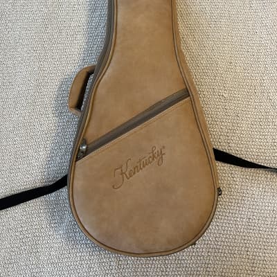 Tone Gard A&F Style Mandolin Guard | Reverb