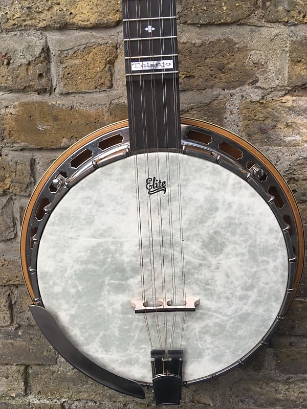 Rob Aylward / Pete Stanley Custom Converted 10 String Banjo | Reverb