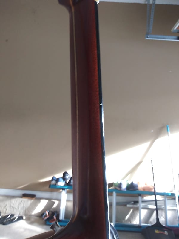 Giannini 7 string nylon/electric guitar | Reverb