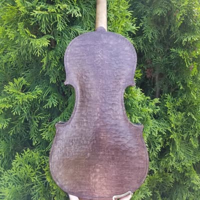 dragon skin violin 4/4 | Reverb