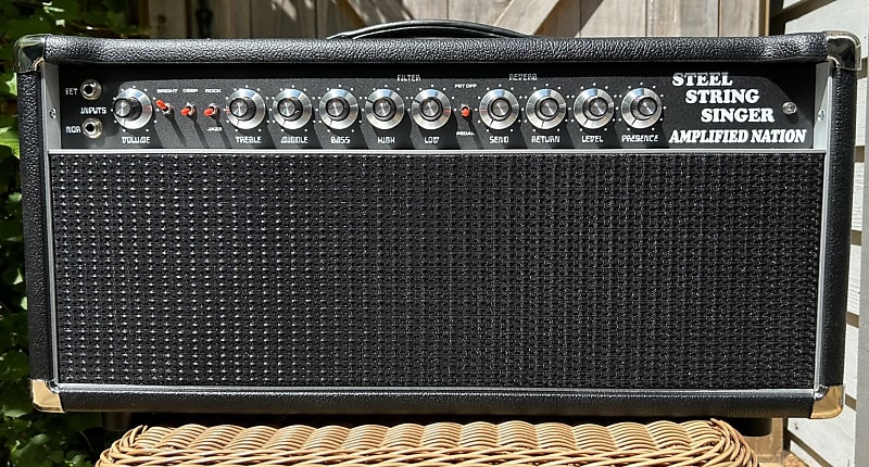 2024 Amplified Nation Steel String Singer 22 Watt Amplifier | Reverb