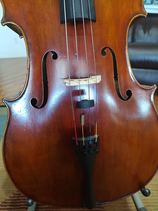 Amber Strings Marco Bosio 4/4 Cello | Reverb