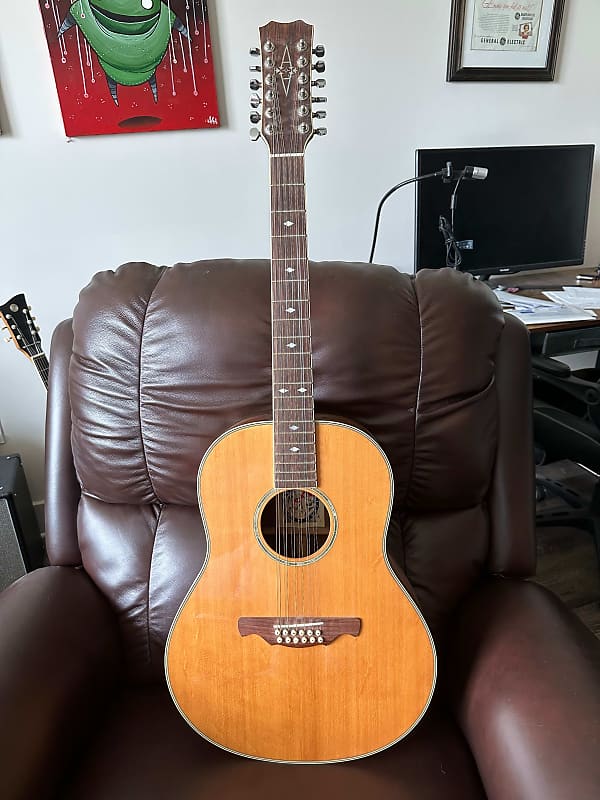 Alvarez Silver Anniversary 12 String | Reverb