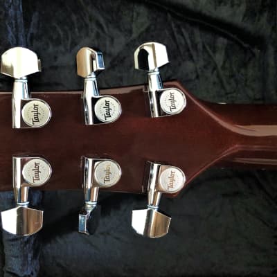 TAYLOR SB1 Custom Walnut Burl Gloss Solid Body Electric | Reverb