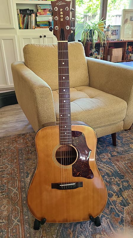 Aria Pro II PW25 70's - Natural | Reverb