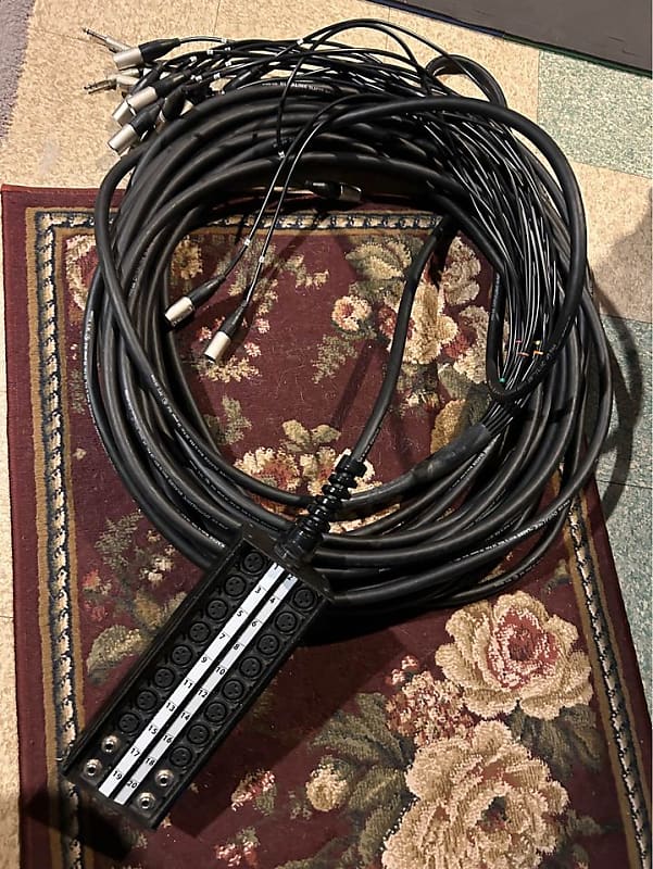 ProCo Stagemaster 16x4 Stage Snake 100' | Reverb