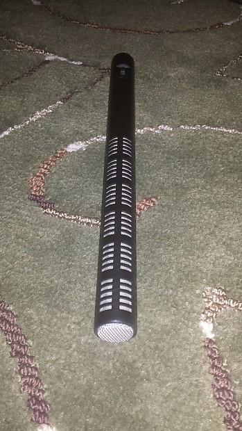 Sennheiser ME66 With Power Capsule | Reverb