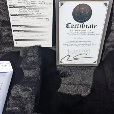 Rare Schecter PT CUSTOM "SPECIAL EDITION," USA CUSTOM SHOP | Reverb