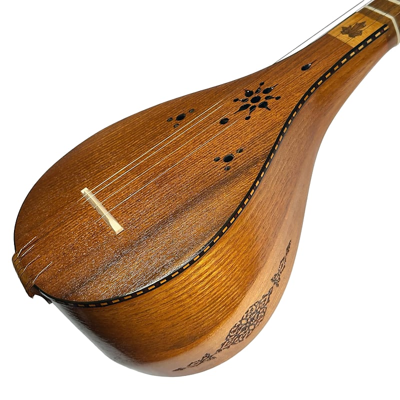 Professional Persian Setar string Musical Instrument | Reverb