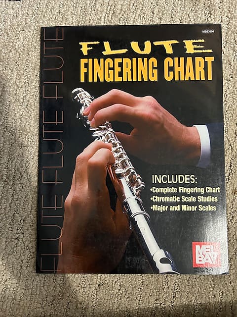 Flute Fingering Chart Music Reference Book Mel | Reverb Deutschland