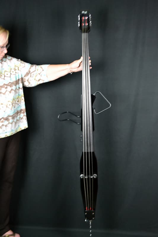 Stagg EDB 3/4 Electric Double Bass with Stagg Gig Bag 2020 | Reverb
