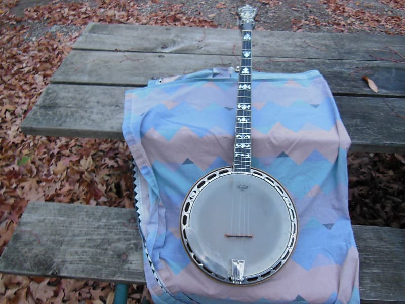 Wildwood Banjo Paragon mid 90's | Reverb