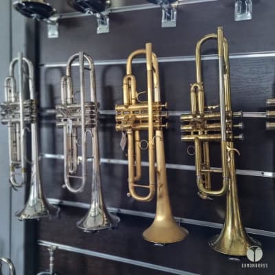D. Calicchio L 1s ML goldplated trumpet, original case ! | Reverb
