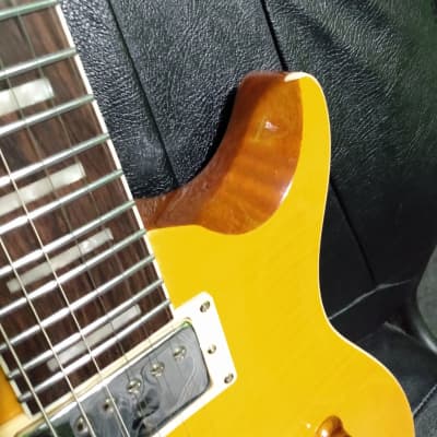 Firefly FFPR 2022 - Transparent Yellow Flame | Reverb