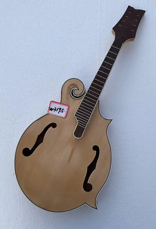 Custom DIY Project 8 String Mandolin, Maple Neck, Rosewood | Reverb