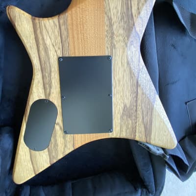 Kiesel Type X 2021 - Sunburst - satin | Reverb