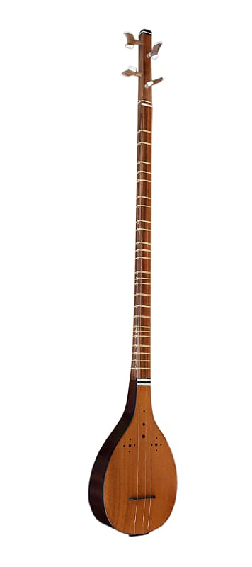 Professional Flat Body Persian Setar, Sehtar By Ketabi String | Reverb