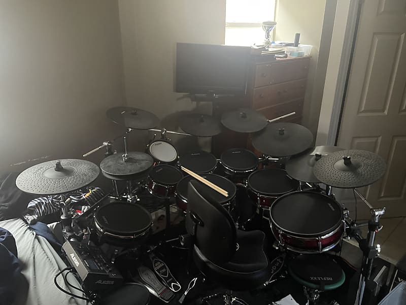 Alesis Strike Pro & DM10 MKII Pro 2021 - Red/Black | Reverb