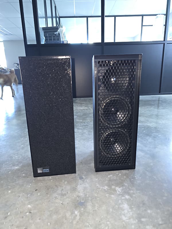 Meyer UPM-1P - Black | Reverb