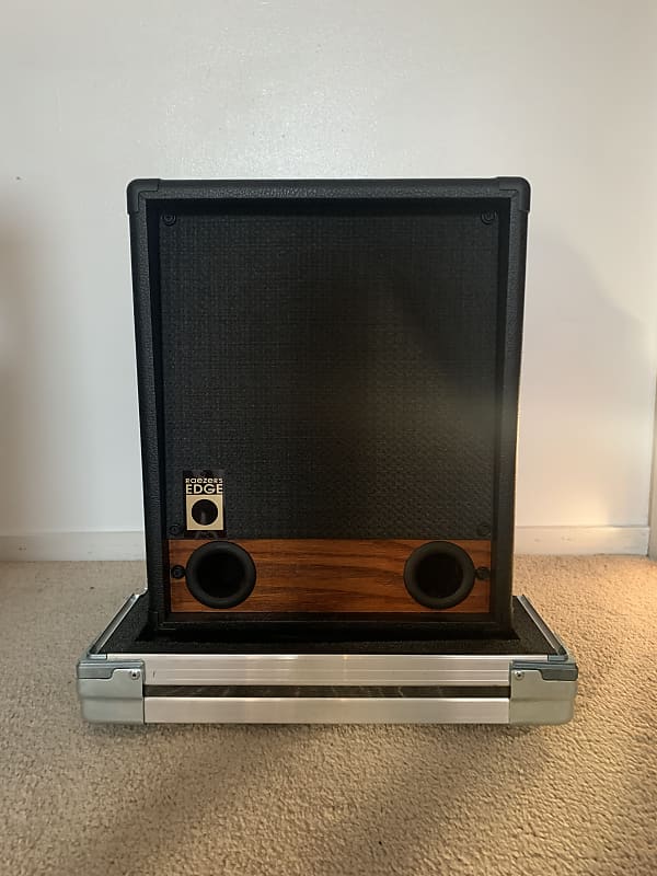 Raezer’s Edge Stealth 10 - 1 x 10 Cabinet | Reverb