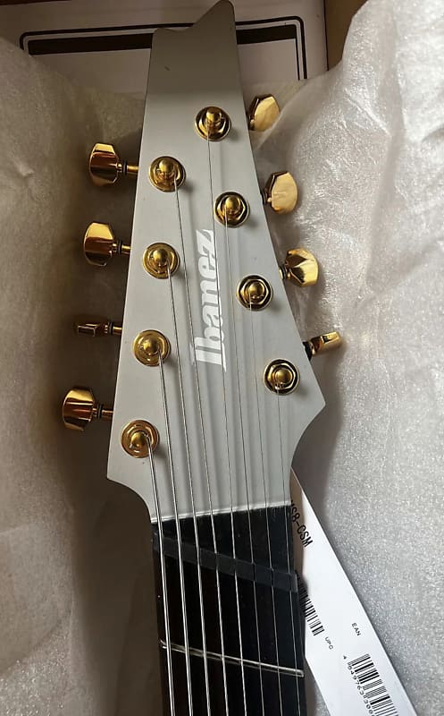 Ibanez Rgdsm8 classic silver matte 8 strings fishman | Reverb