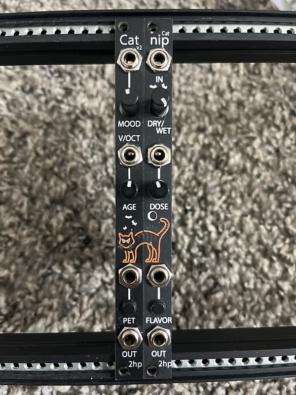 2hp Cat v2 + Catnip Black | Reverb