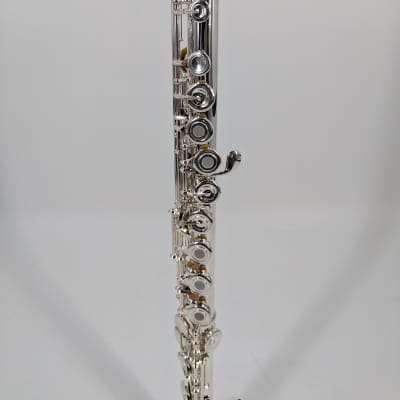 Raymond Musical Instruments RMFL-200 Intermediate Flute | Reverb