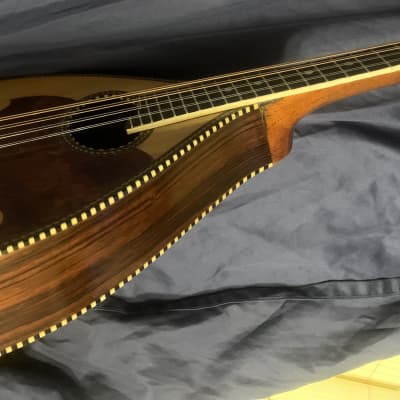 Supertone Fancy Brazilian Rosewood Mandolin 1920s - Natural | Reverb