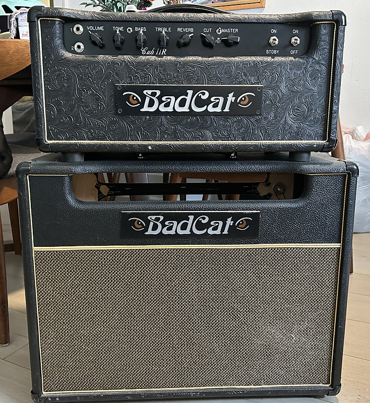 Bad Cat Cub IIR Handwired Custom Enclosure! | Reverb