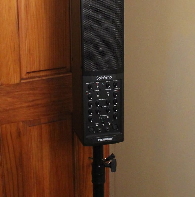 Fishman Soloamp SL1 SA220 (with rolling travel bag and stand) | Reverb