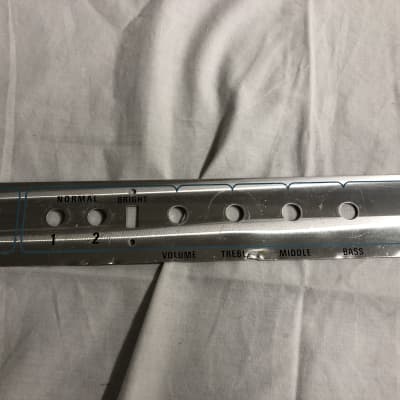 Fender Bantam Bass-Amp Faceplate 1969 Silverface | Reverb