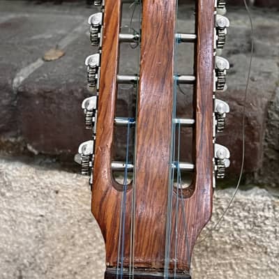 Charango armadillo back master luthier made | Reverb